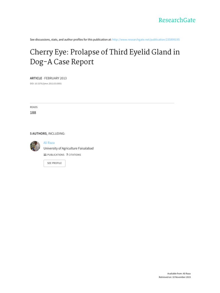 Cherry Eye: Prolapse of Third Eyelid Gland in Dog-A Case Report | PDF ...