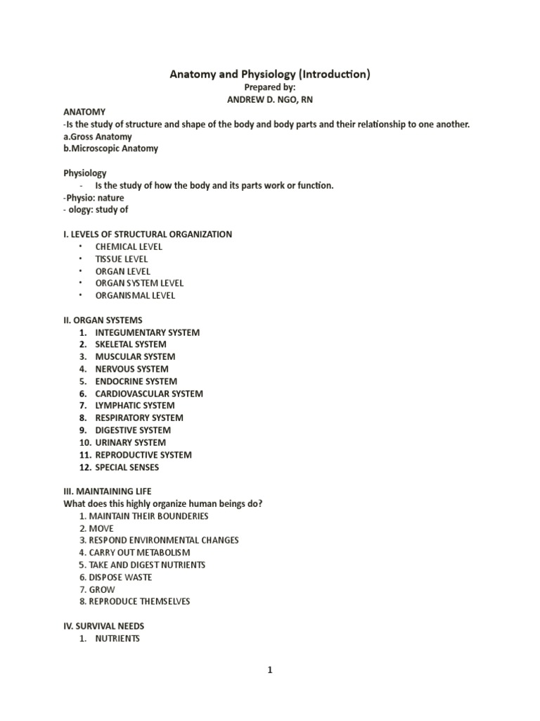 Anatomy and Physiology Outline | PDF | Epithelium | Skin