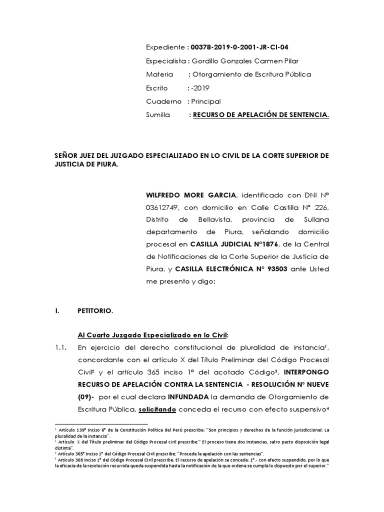 Recurso de Apelación de Sentencia. | Debido al proceso | Ley procesal