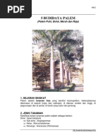 Tanaman Palem Merah | PDF