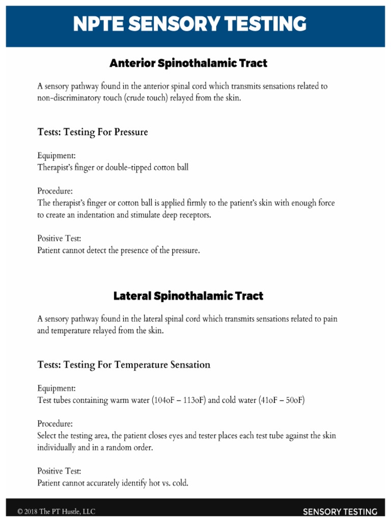 NPTE Neuro Review Sheet | PDF