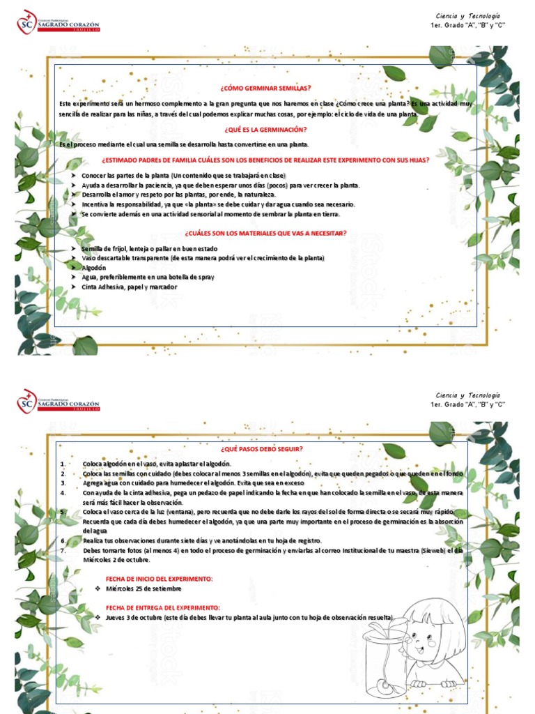 Germinación de Semillas para Niños | PDF | Germinación | Plantas