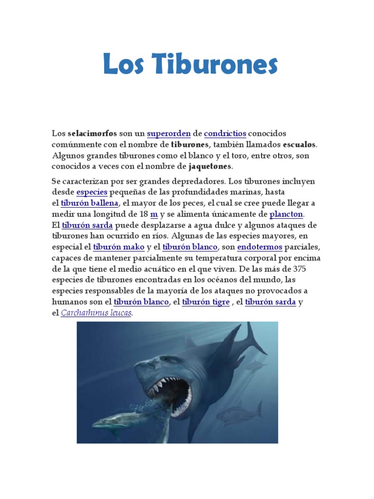 Conociendo a los Tiburones | PDF | Tiburones | Pescado
