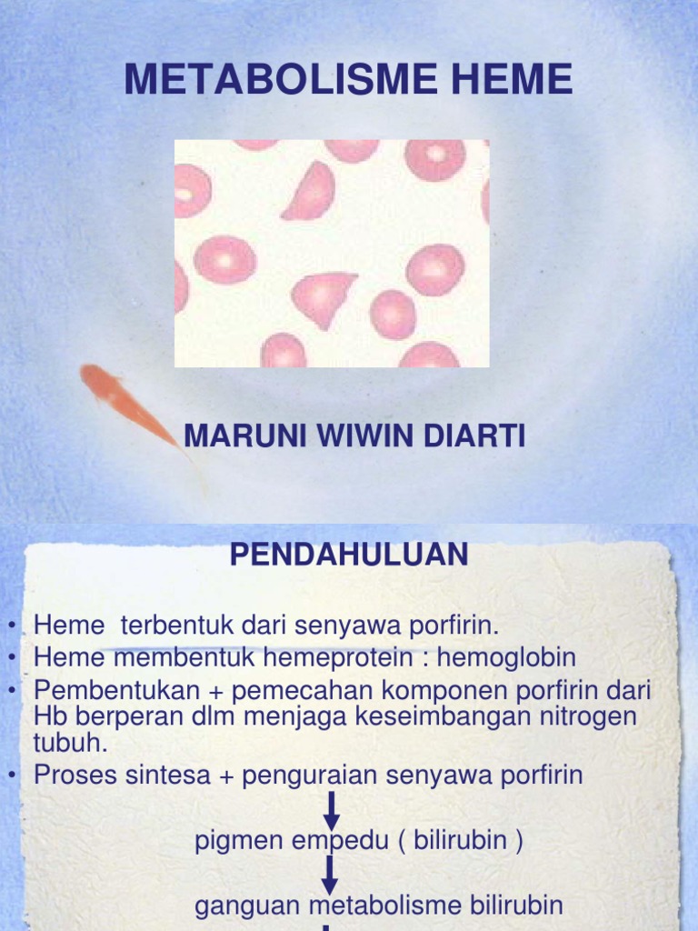 A. Metabolisme HEME | PDF