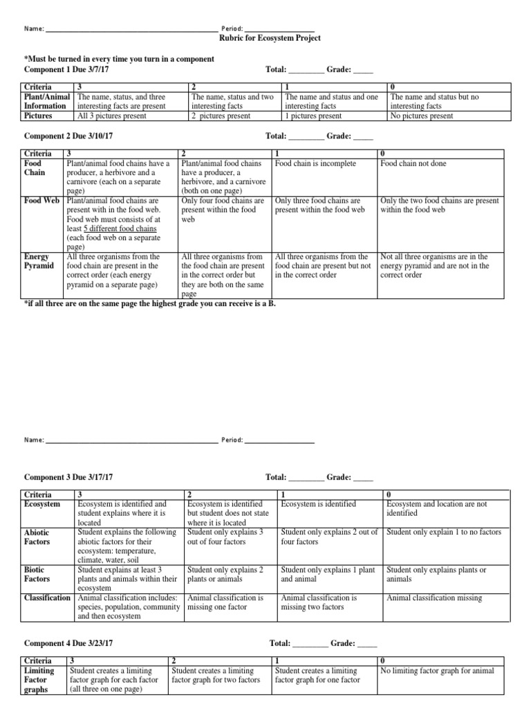 Ecosystem Project Rubric | PDF | Food Web | Ecosystem