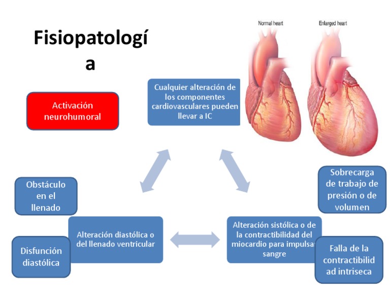 Fisiopatologia De La Insuficiencia Cardiaca Pdf