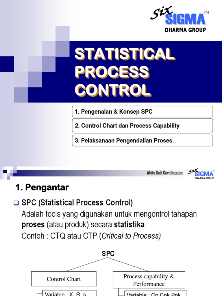 SPC untuk Sertifikasi White Belt | PDF