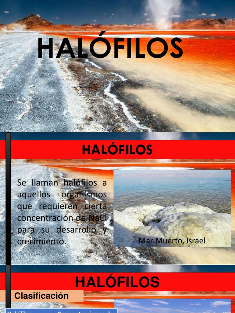 HALOFILOS | PDF