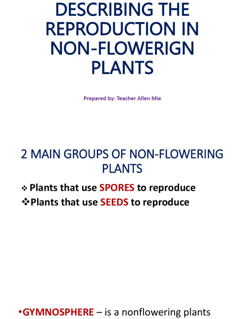 Describing The Reproduction in Non-Flowerign Plants | PDF | Grafting ...
