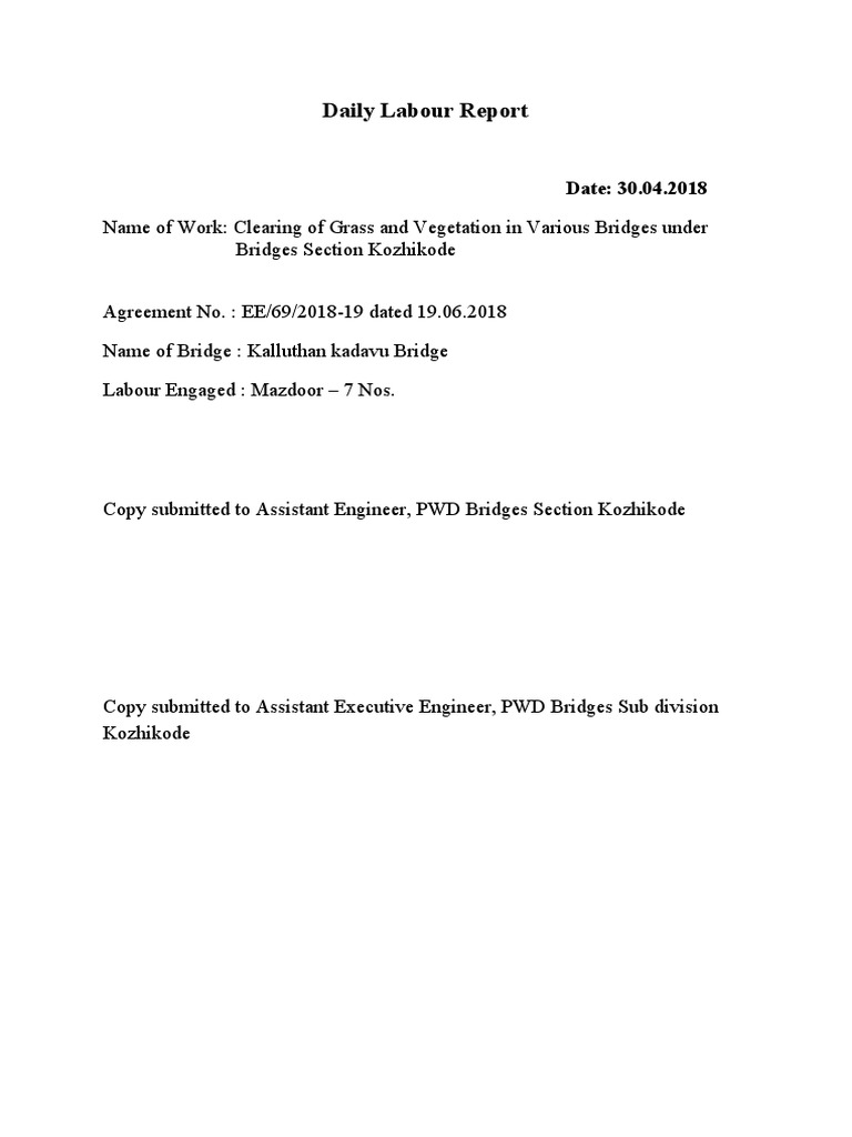 Daily Labour Report: Date: 30.04.2018 | PDF