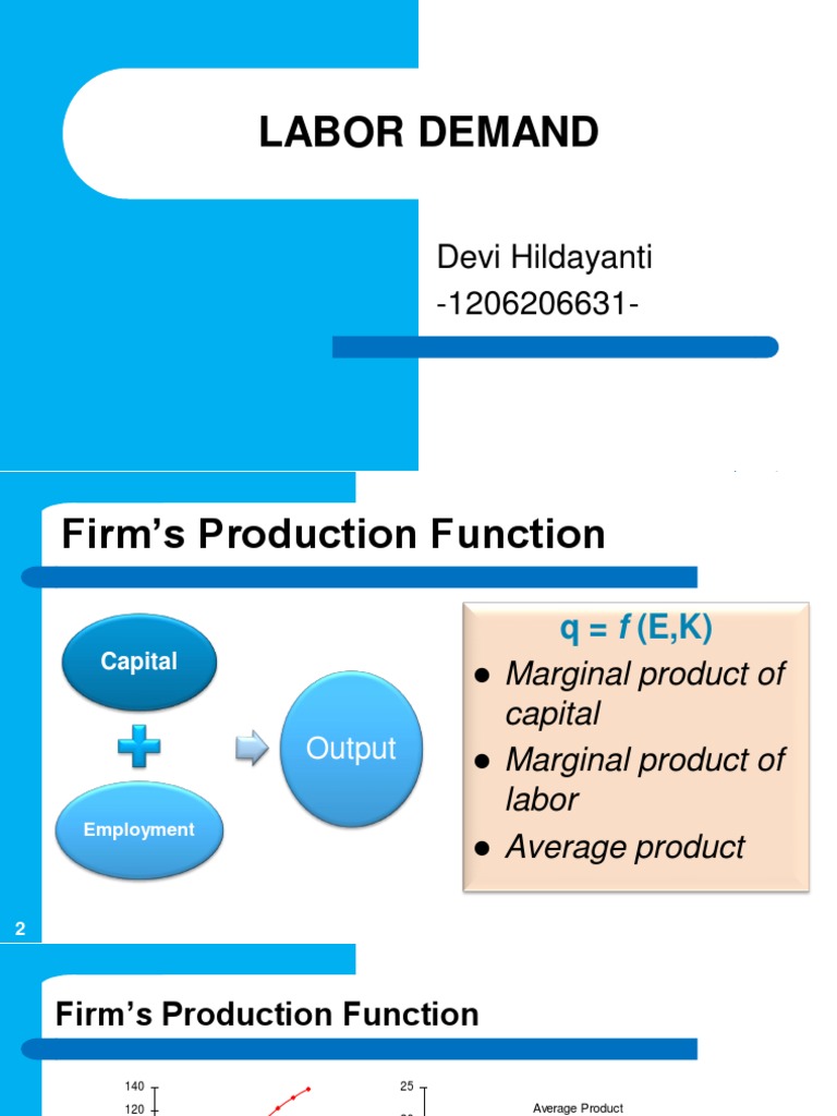 Labor Demand | PDF | Supply And Demand | Labour Economics