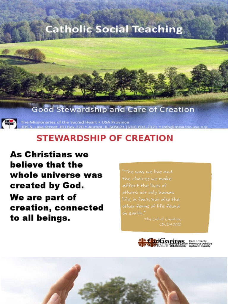 Catholic Social Teaching Care For Gods Creation