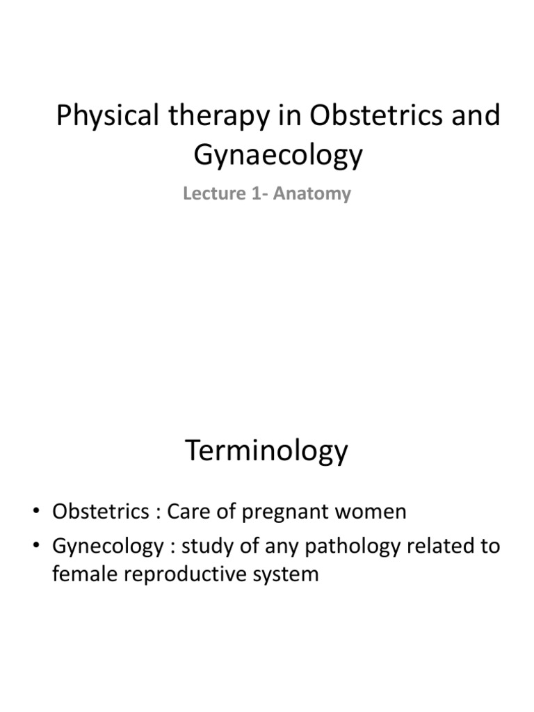 Gynae Lecture 1 | PDF | Pelvis | Musculoskeletal System