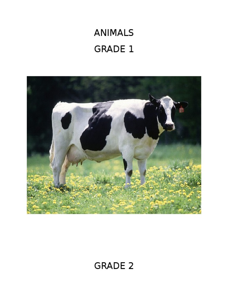 Animals Grade 1 | PDF