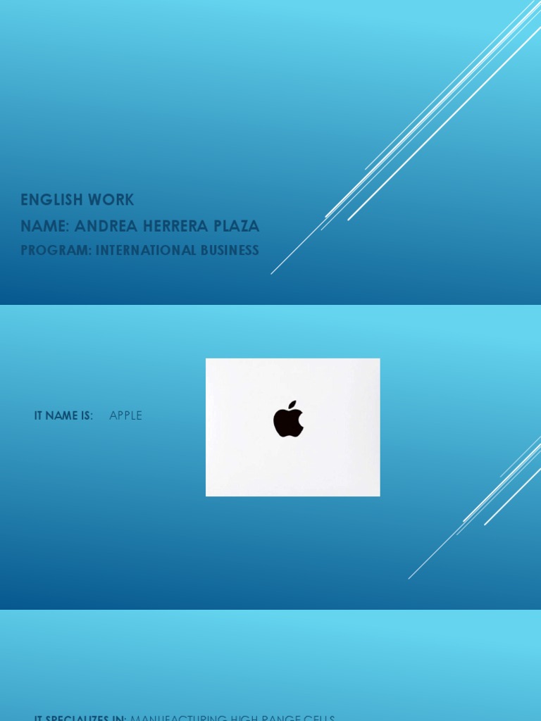 Apple: A Business Overview | PDF