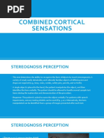 Tenderness Grading PDF | PDF | Medical Specialties | Musculoskeletal System
