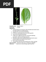 All About Pito-Pito Leaves | PDF | Tea | Common Cold