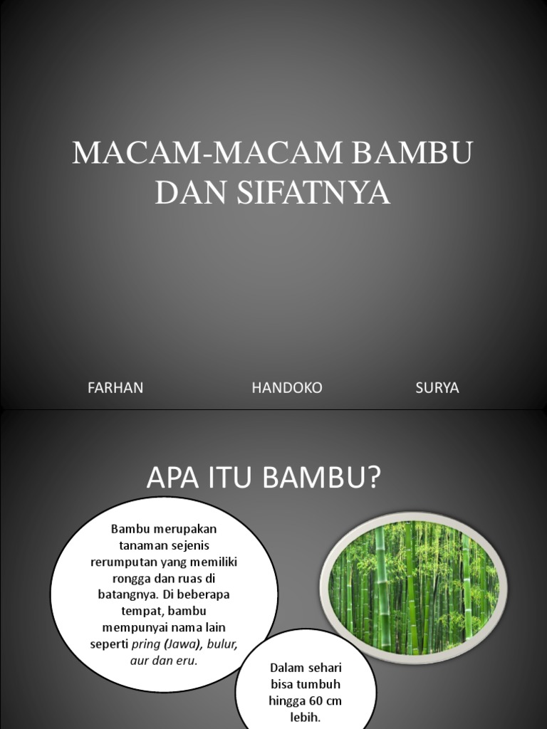 Macam-Macam Bambu Dan Sifatnya A | PDF