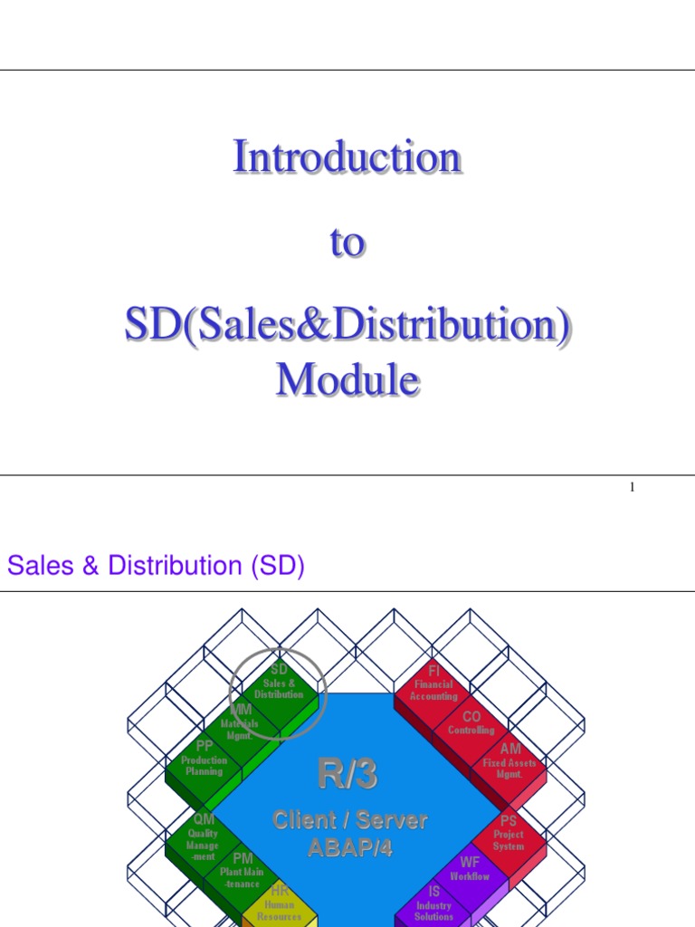 Overview of SAP SD Module Functions | PDF | Debits And Credits | Invoice