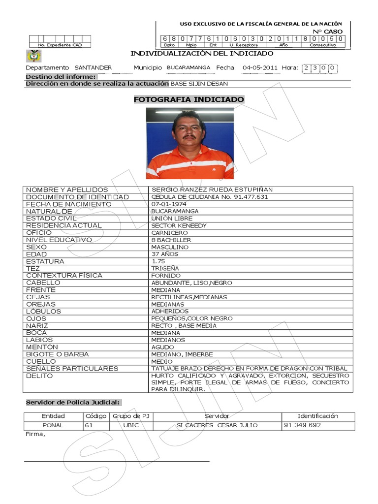 Formato Individualizacion | PDF | Justicia | Crimen y violencia