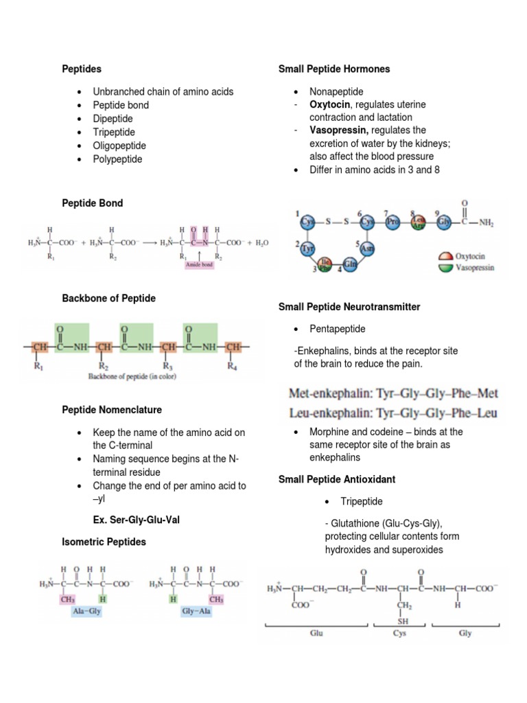 Peptides Small Peptide Hormones | PDF | Peptide | Lipoprotein