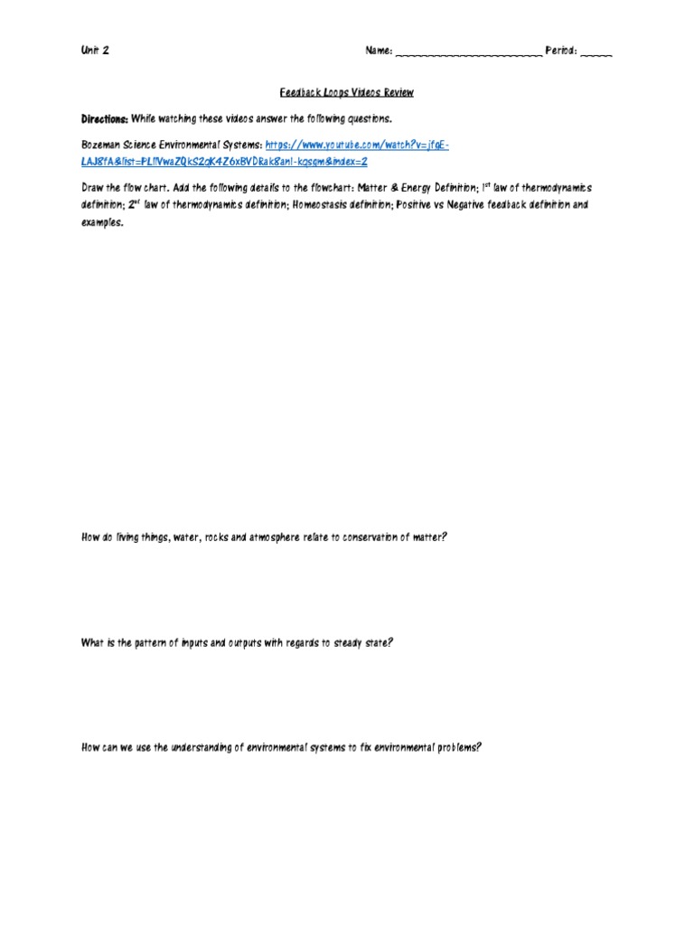 Apes Feedback Loops Videos Review | PDF