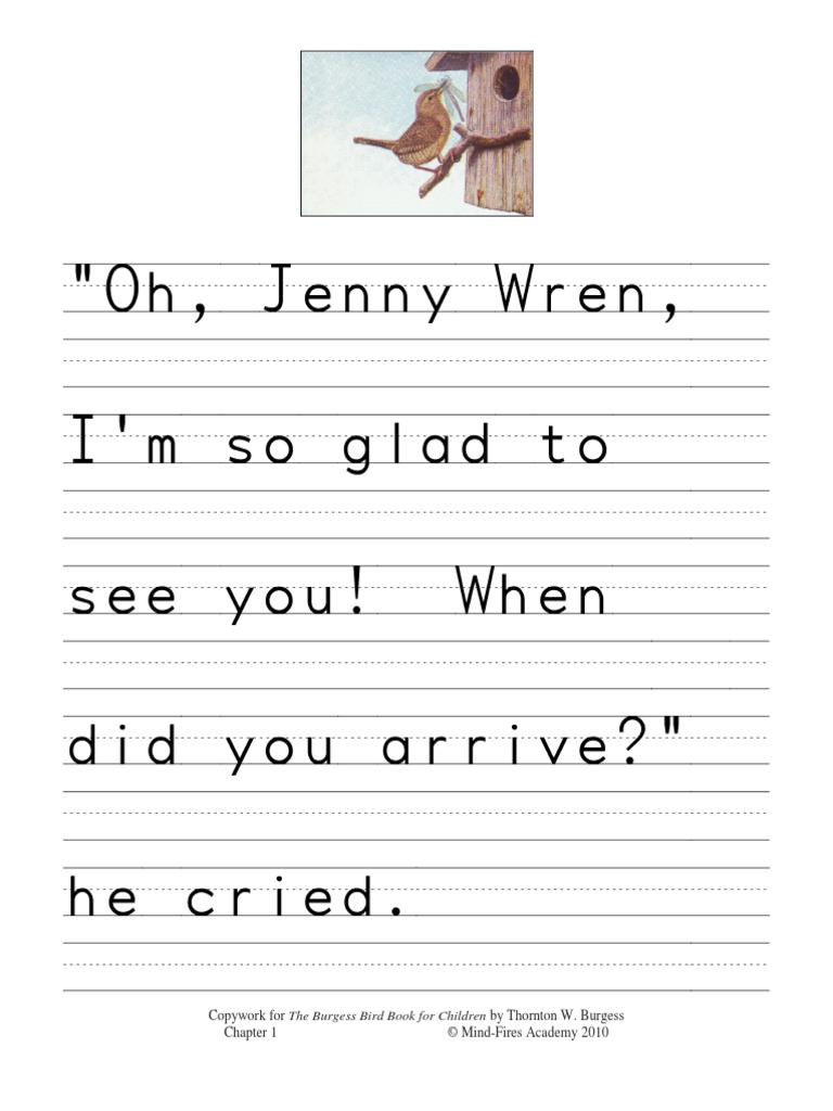 Copywork: The Burgess Bird Book | PDF