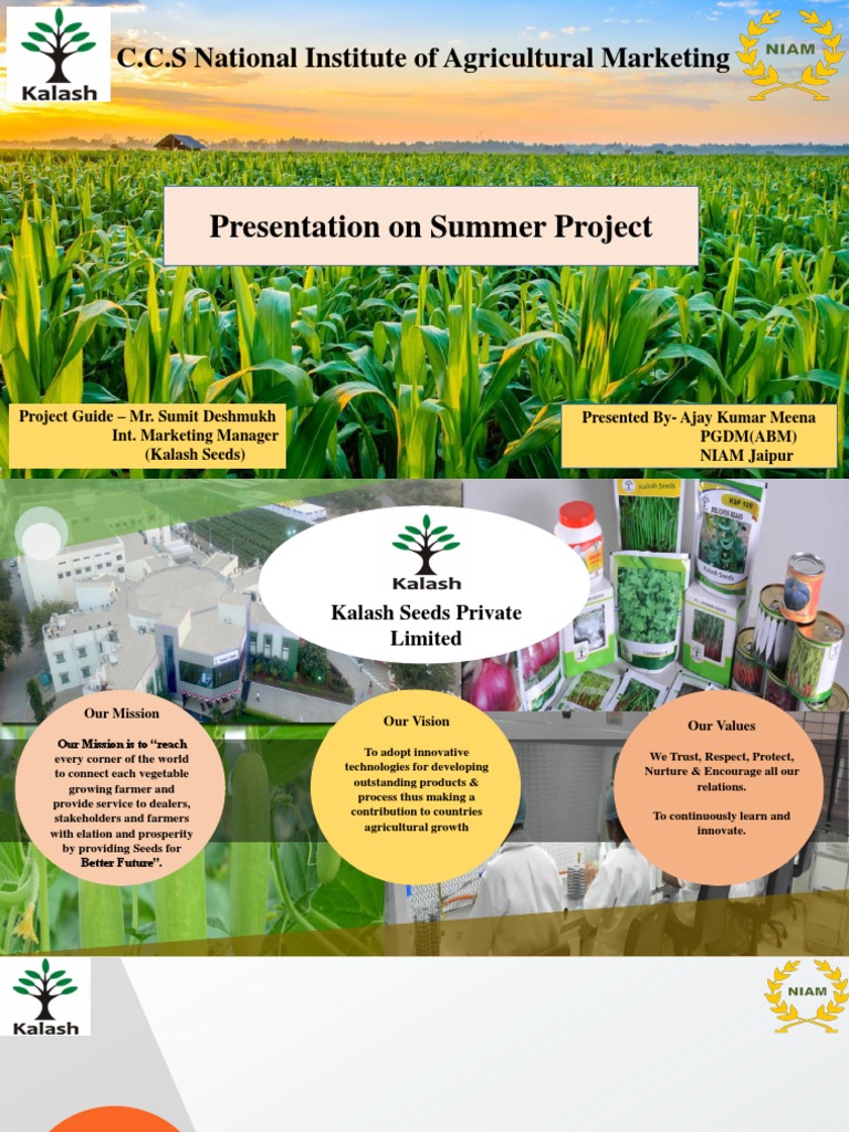 Summer Internship Final Presentation (Ajay Kumar Meena) | PDF | Monopoly | Marketing