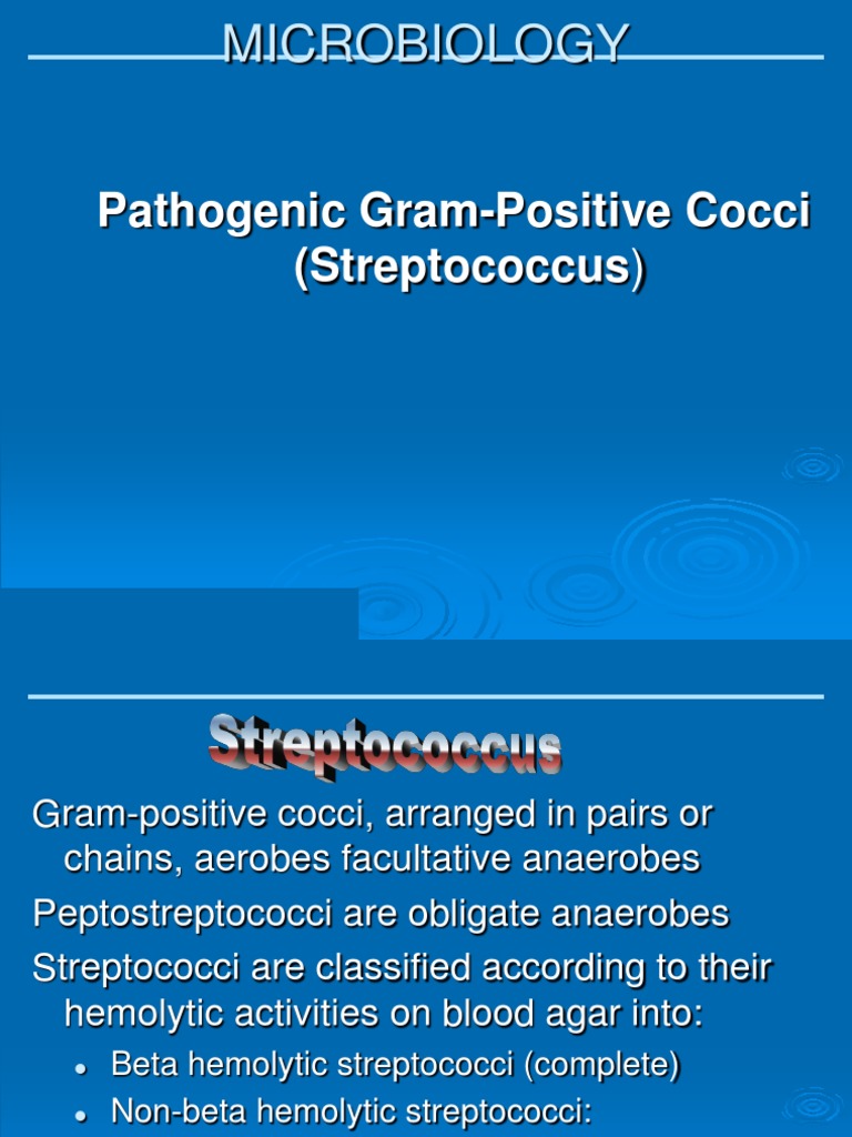 Microbiology: Pathogenic Gram-Positive Cocci (Streptococcus) | PDF ...