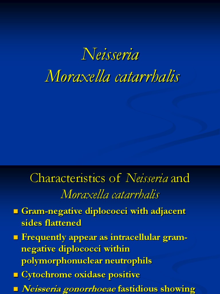 Characteristics, Identification, Prevention and Treatment of Neisseria, Moraxella catarrhalis ...