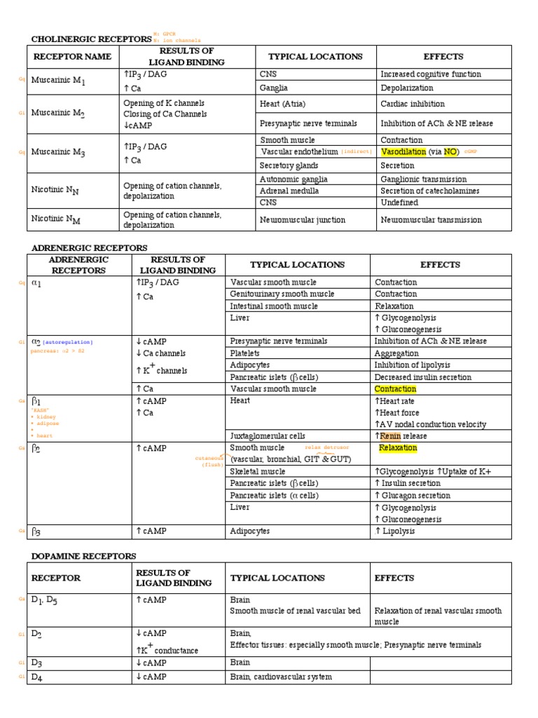 0.5. ANS Quicksheet PDF | PDF | Acetylcholine | Anatomy