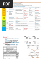 GOS18 Referral Form 1 | PDF | Human Eye | Facial Features