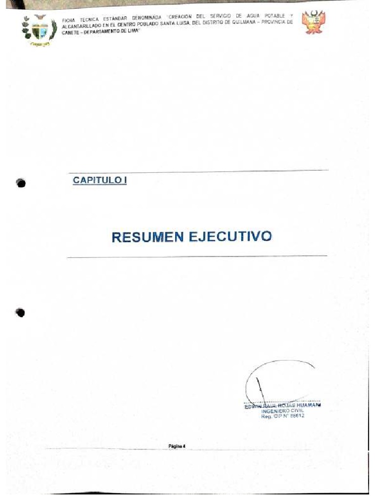 Resume N Santa Luisa | PDF