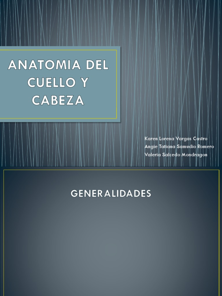 Anatomia Del Cuello Y Cabeza Pdf Cráneo Anatomía Humana