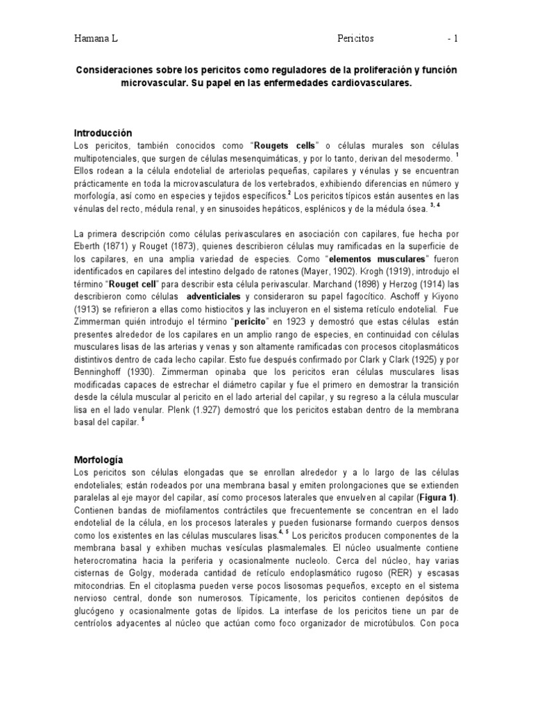 Funciones y morfología de los pericitos | PDF | Capilar | Endotelio