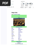Ichu | PDF | Plantas | Horticultura y jardinería