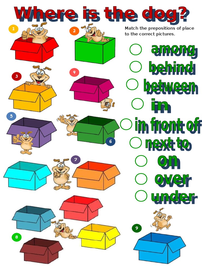 Match The Prepositions of Place To The Correct Pictures | PDF