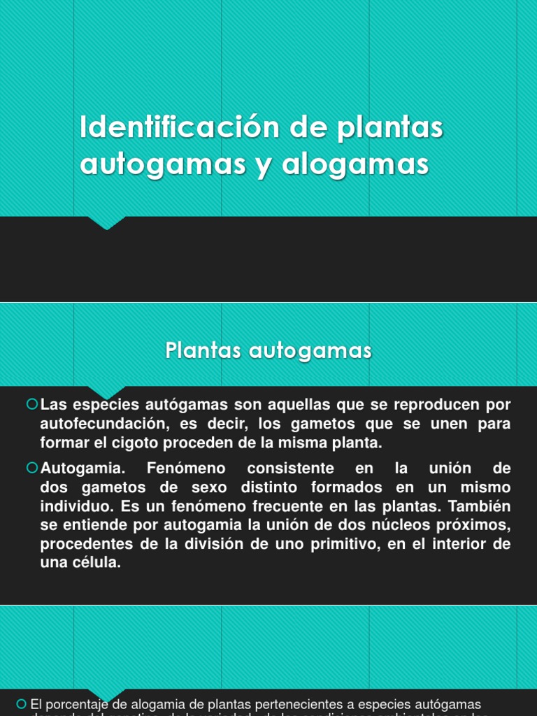 Identificación de Plantas Autogamas y Alogamas | PDF | Interacciones ...