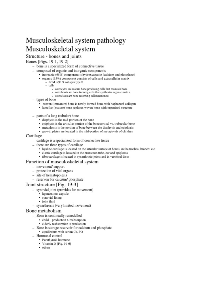 Musculoskeletal System Pathology Musculoskeletal System: Structure ...