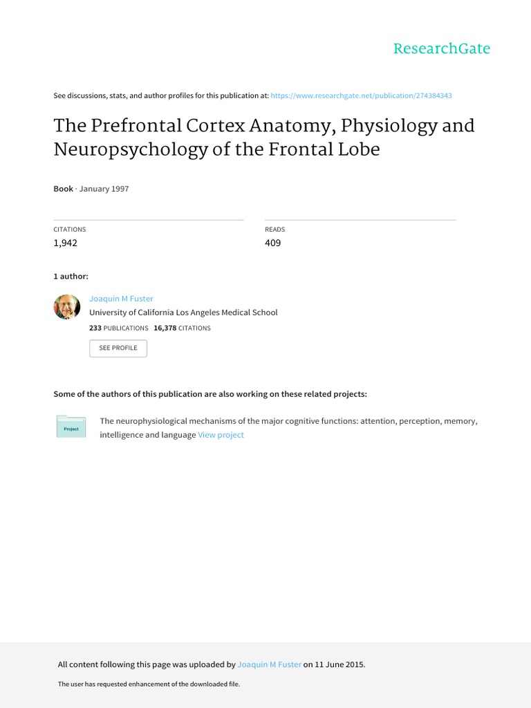 The Prefrontal Cortex Anatomy, Physiology and Neuropsychology of The ...