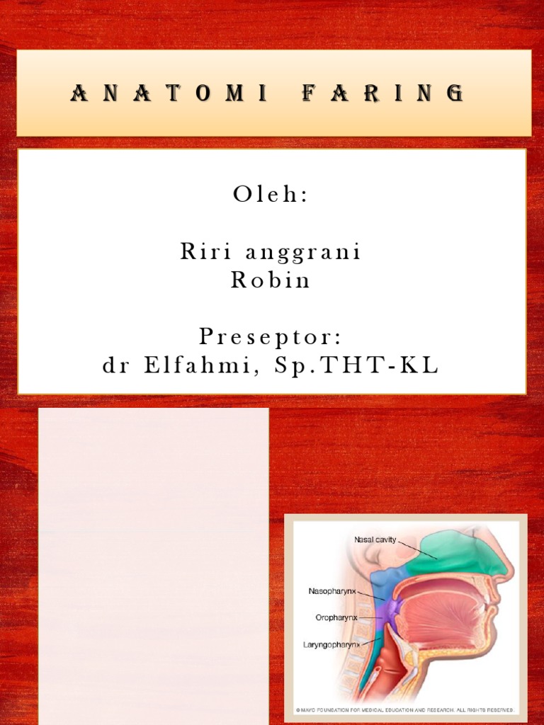 Anatomi Faring | PDF