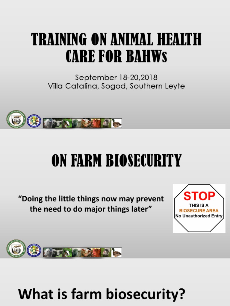 Poultry Farm Biosecurity Training Guide | PDF | Vector (Epidemiology ...