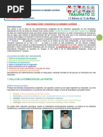 Clasificacion de Frykman | PDF