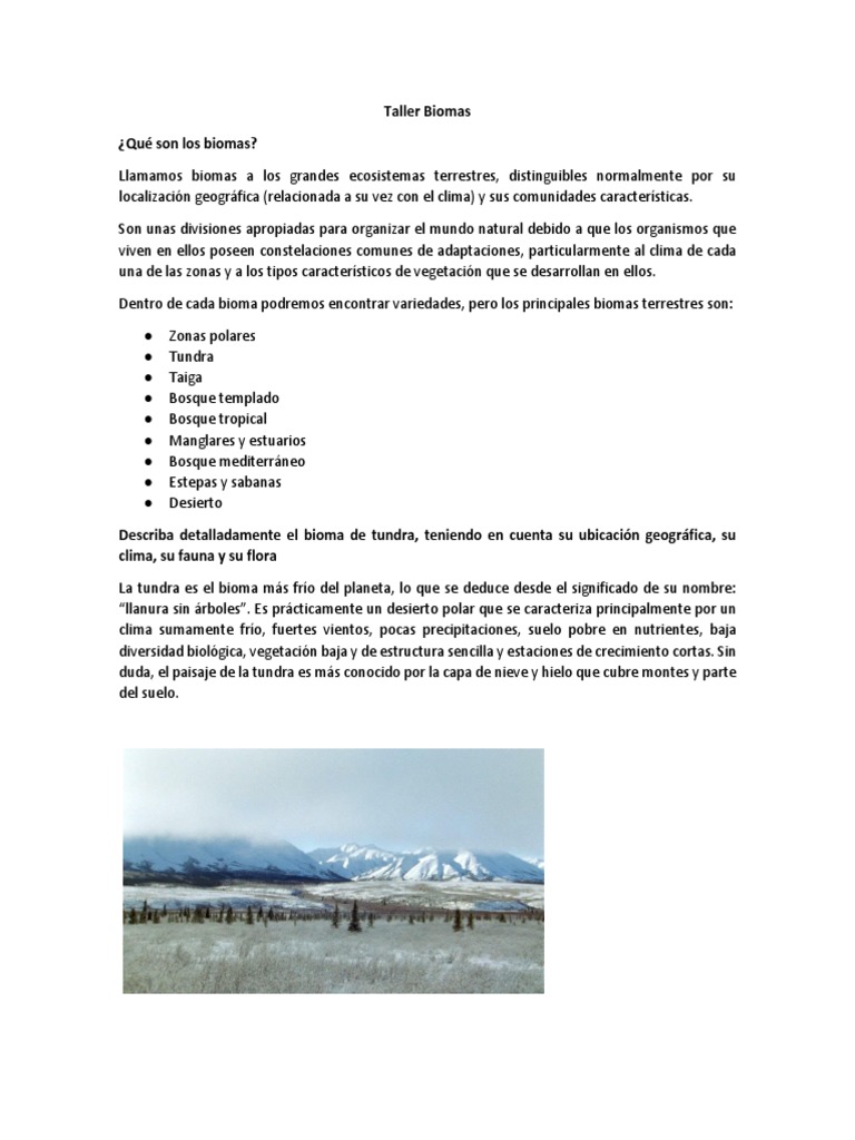 Biomas Tundra | PDF | Ciencias de la Tierra | Geografía Física