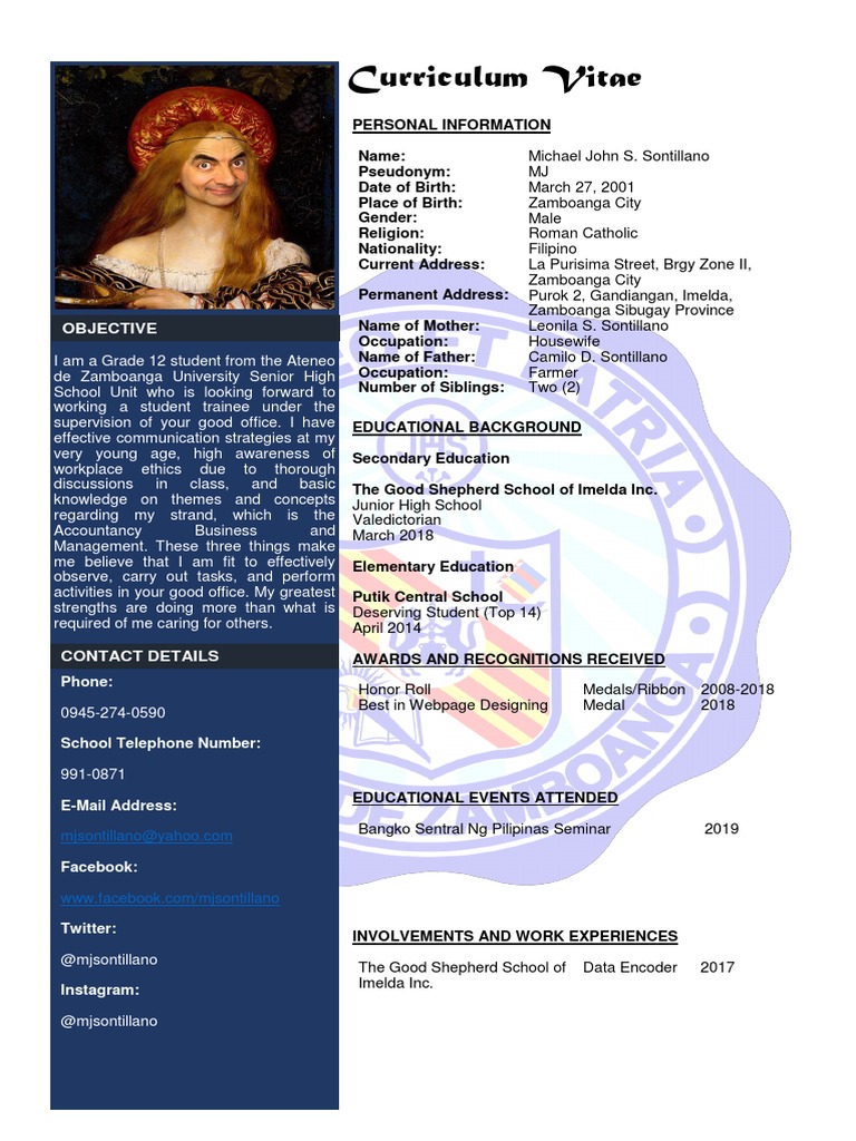 Curriculum Vitae MJ | PDF | Secondary Education | Learning