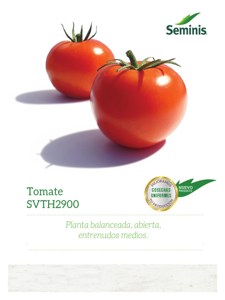 Tomate Bola SVTH2900 | PDF