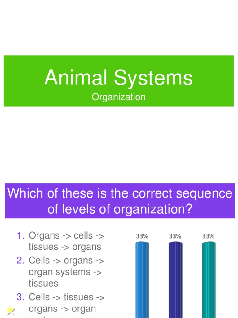 Animal Systems: Organization | PDF | Tissue (Biology) | Skeleton