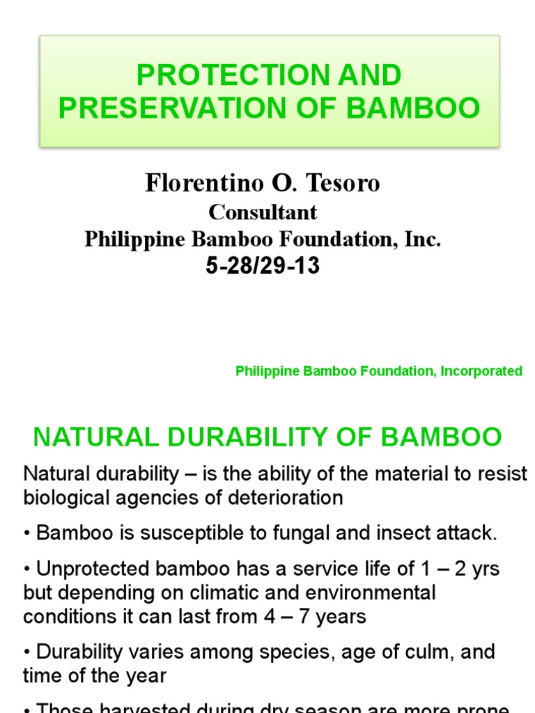 PROTECTION AND PRESERVATION OF BAMBOO - Fot | PDF | Decomposition | Bamboo