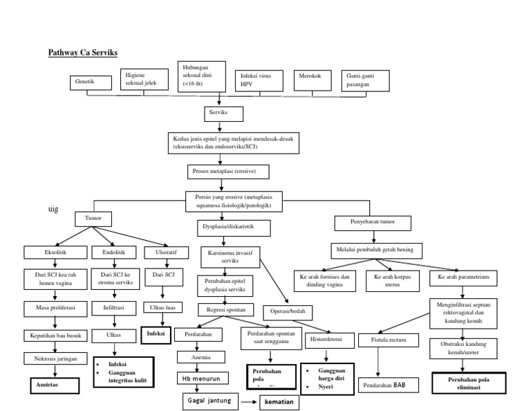 Pathway Kanker Serviks | PDF