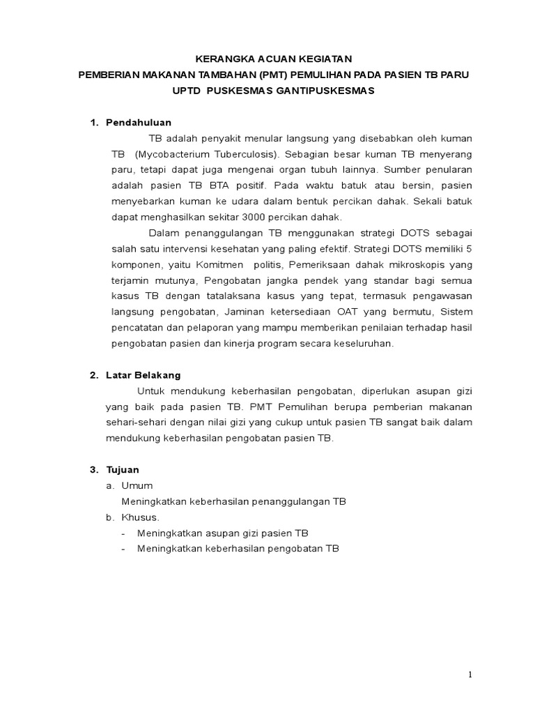 KAK PMT Pemulihan Pada Pasien TB Paru | PDF